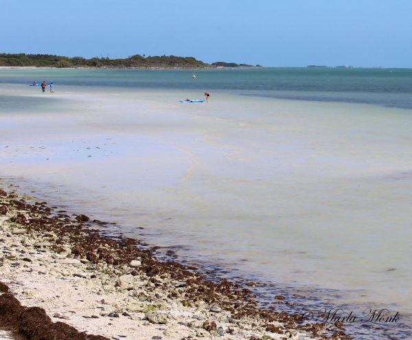 The Upper Florida Keys-A Baby Boomer's Road Trip - Grans On The Go